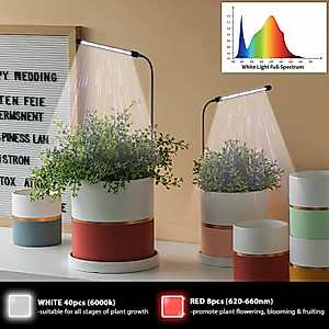 Juhefa Grow Light for Indoor Plants Growing, 6000K Full Spectrum Gooseneck Plant Lamp for Seedings Succulents Small Plants, Auto On/Off Timing & 5 Dimming, 2-Pack