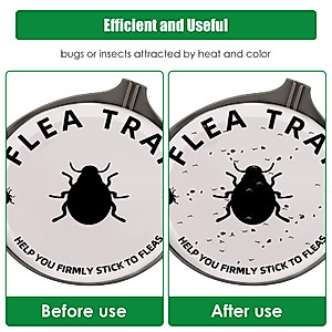4 Pack Flea Trap Indoor Flea Light for Inside Your Home with 8 Sticky Disc & 12 Bulbs & 4 Electric Wires Pet and Kid Healthly,Sticky Bed Bug Trap Pest Control