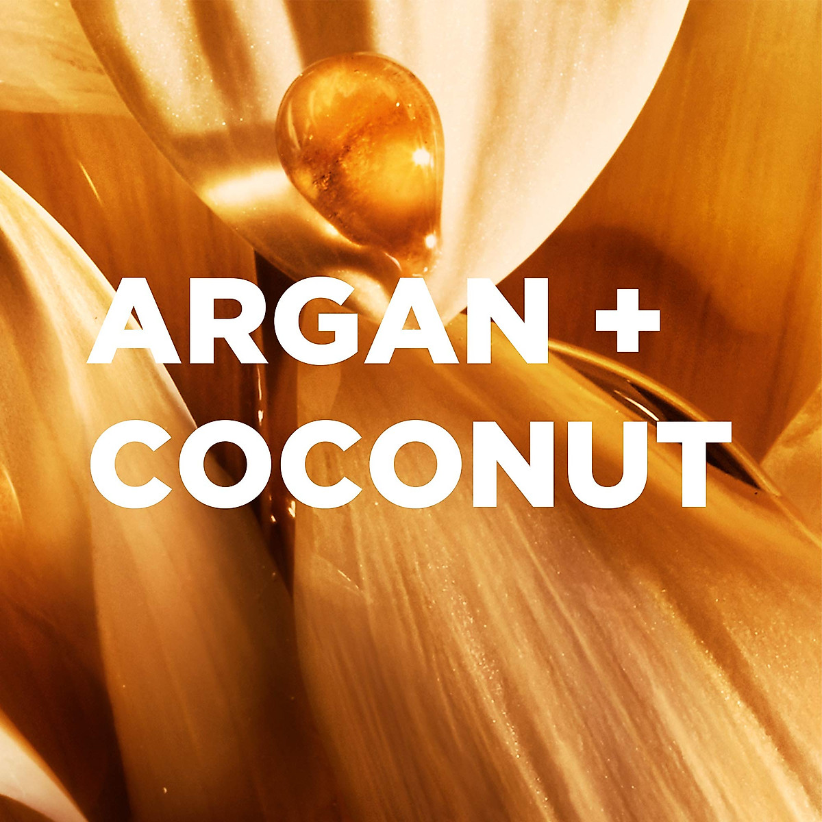 L’Oréal Paris Elvive Extraordinary Oil Nourishing Conditioner, for Dry or Dull Hair, Conditioner with Camellia Flower Oils, for Intense Hydration, Shine, and Silkiness, 28 Fl; Oz