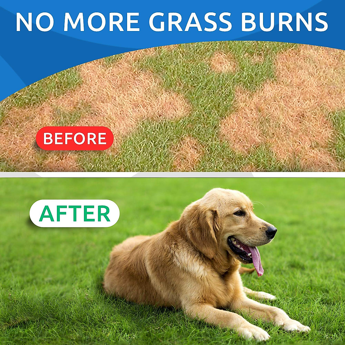 All-Natural Grass Treatment for Dog Urine Bundle - Grass Restore Treats for Dogs - Pee Lawn Repair Chews w Probiotics - Dog Urine Neutralizer Solution for Grass Burn Spots - Made in USA