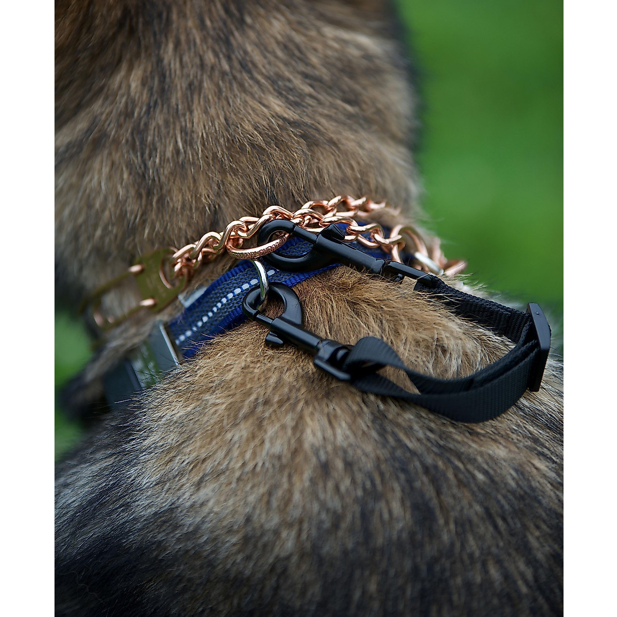 HS Herm. Sprenger Prong Collar Safety Clip (Black) 6"-8" - Pack of 1 Dog Leash Safety Strap - Enhanced Durability for Secure Leash Connection - Ideal for Safe Walk and Training