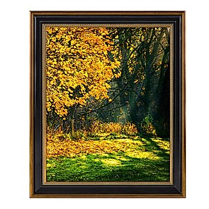 Space Art Deco, 16x20 Picture Frame without Mat for 16x20 Poster/Photo/Print, Shatter-Resistant Real Glass Wall Mounting Display (Black and Ornate Gold Design, 1-Pack)