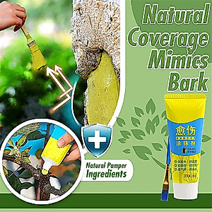 Anshka Plant Restoring Regrowth Sealant, Bonsai Tree Wound Paste, Tree Wound Bonsai Cut Paste, Smear Agent Pruning Compound Sealer with Brus (1pcs)