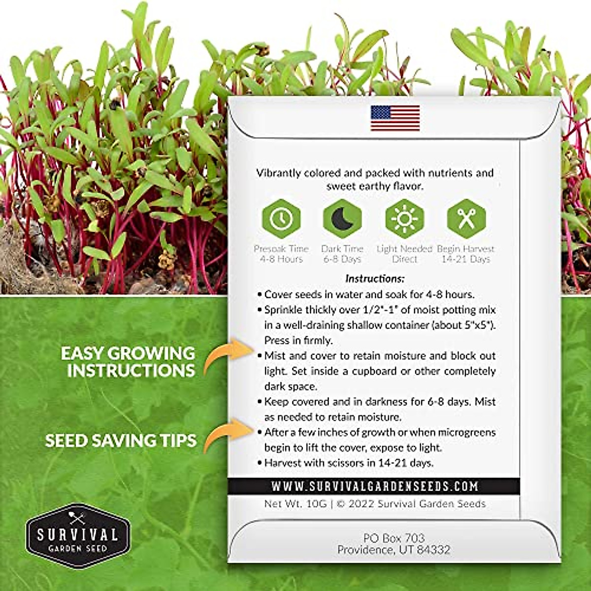 Survival Garden Seeds Beet Microgreens for Sprouting and Growing - 3 Packs - Sprout Green Leafy Micro Vegetable Plants Indoors - Grow A Mini Windowsill Garden - Non-GMO Heirloom Variety