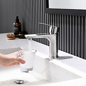 Single Hole Bathroom Faucet, Stainless Steel Bathroom Faucets, Brushed Nickel Commercial Bathroom Sink Faucet,Single Handle Bathroom Sink Faucet with Supply Lines, BF019L