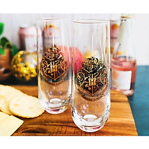 Harry Potter Hogwarts 9-Ounce Stemless Fluted Glassware, Set of 2 | Toasting Champagne Glass Cups For Wine, Mimosas, Cocktails | Home Barware Decor, Kitchen Essentials, Housewarming Gifts