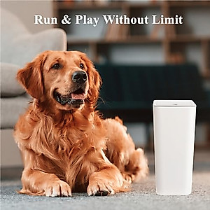 XAJH 2 Pack Trash Can with Lid, Slim Bathroom Trash Can, Small Trash Can with Press Top Lid, Plastic Garbage Can, Waste Basket for Bathroom, Kitchen, Bedroom,Living Room, Office