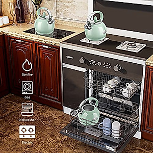 RETTBERG Tea Kettle for Stovetop Whistling Tea Kettles Retro Red Stainless Steel Teapots, 2.64 Quart (Mint Green)