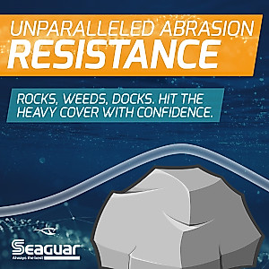 Seaguar/Kureha America LLC Seaguar in Shore 100% Fluorocarbon Leader 100yd 40lb, Clear