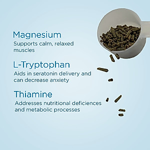 Formula 707 Calming Equine Supplement 10LB Bucket – 80 Servings – Anxiety Relief and Enhanced Focus for Horses – L-Tryptophan, Thiamine & Magnesium