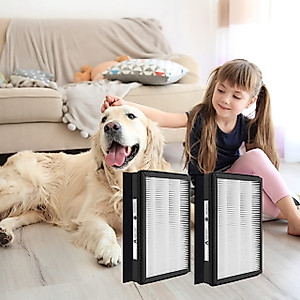 HENSITA Drolma Size A HEPA Replacement Filter, Compatible with Filtrete & Idylis Air Purifier Devices FAP-C01-A, AC-2119, IAPC-40-140, IAP-10-150, Compare to Part Model # IAF-H-100A, 2-Pack