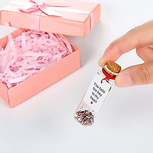 Zonon You Hold The Key to My Heart Romantic Wish Jar Love Message with Bottle Romantic Decoration for Boyfriend or Girlfriend Anniversary Romantic Gift Christmas Valentine's Day Gift for Her Him