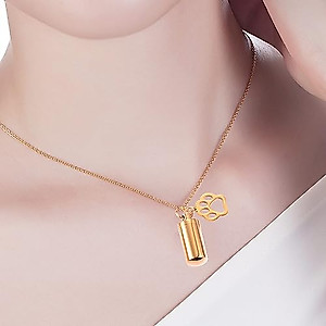 Stainless Steel Pet Urns Holder Necklace For Dogs Cats Pet Memorial NecklaceKeepsake Loss Pet Memory Urn Holder Jewelry Memorial Jewelry For Pets Ashes Container Pendant For Pets Pet Memorial Necklace