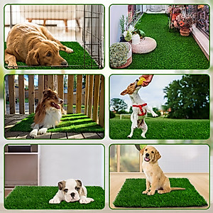 Grass Pad for Dogs 51.2 x 31.5 inches, Strong Absorbency Soft Artificial Grass for Pets Potty Training, Easy to Clean Fake Grass for Dog Indoor Outdoor Use (1 Pack)