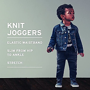 Levi's Baby Boys' Jogger Pants, Waverly, 9M