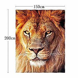 QH Lion Printing Velvet Plush Throw Blanket Comfort Design Home Decoration Fleece Blanket Perfect for Couch Sofa or Travelling 58" x 80" (2)