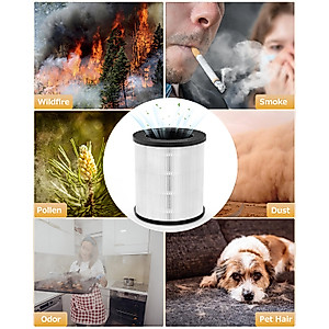 Air Purifier B-D02U Replacement Filter, VEWIOR H13 True HEPA Air Cleaner Filter (Special for B-D02U Air Purifier)