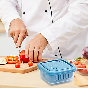 Food Storage Containers with Lids Fridge Berry Storage Container with Lid/Strainer Fresh Produce Saver Keeper for Scallion Ginger Garlic Vegetable Fruit Meat Lettuce