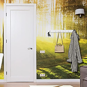 AJLTPA Coat Rack Wall Mounted, White Coat Hooks Adhesive & Screw in, Stainless Steel Door Hooks for Hanging Hat Towels Clothes, Hook Rail with 6 Round Hangers