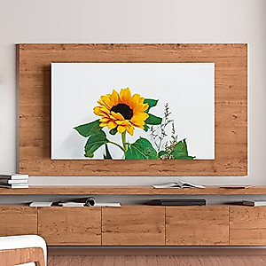 LILIKY Universal 28''-80'' TV Dust Cover, TV/Computer Screen Protection Cover, Premium Quality Wrinkle Free Polycotton Indoor Cover Cloth (Color : C, Size : 22in(54 * 35 * 5cm))