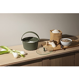 EVA SOLO | Rice steamer Green tool | Cook rice, quinoa etc. easily in the microwave | Danish Design & Functionality | Green