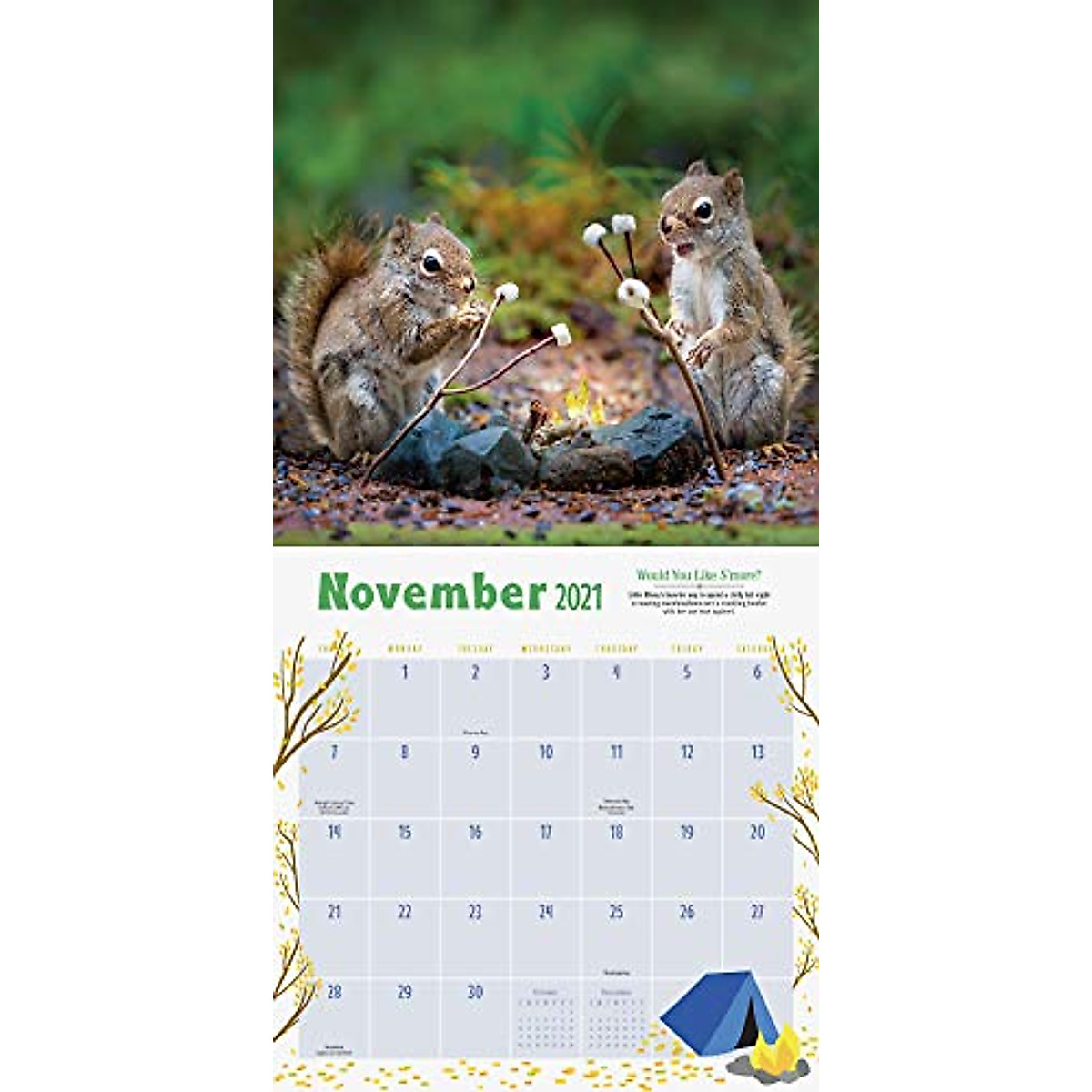 The Secret Life of Squirrels Wall Calendar 2021