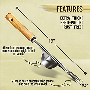 Betus Manual Hand Weeder - Bend-Proof Leverage Base for Super Easy Weed Removal & Deeper Digging - Sturdy Chrome Plated Steel - Compact Garden Weed Puller Tool for Yard Lawn and Farm