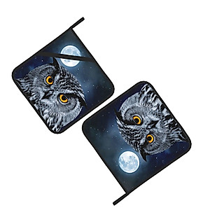 Potholders 2 Pieces Set, Owl Animals Hot Pads with Anti-Scald Cotton Infill Material