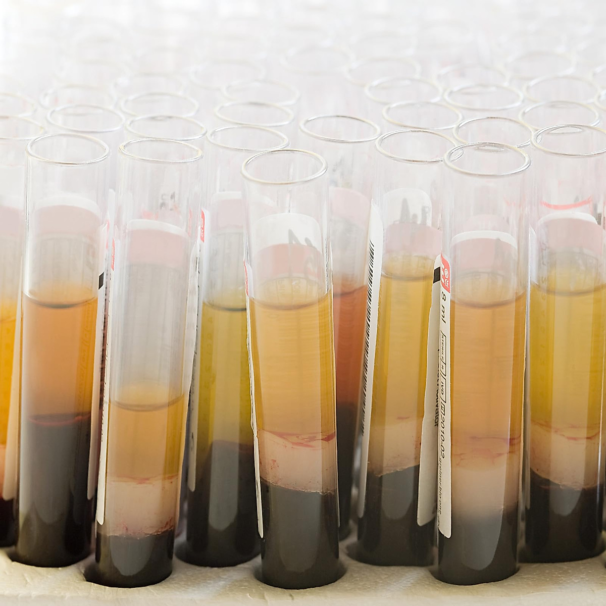 HUAOU 10pcs 60ml Glass Test Tubes, 25x150mm 3.3 Borosilicate Glass Test Tubes for Scientific Experiments, Party and Home Decorations, Candy Storage and Plant Propagation