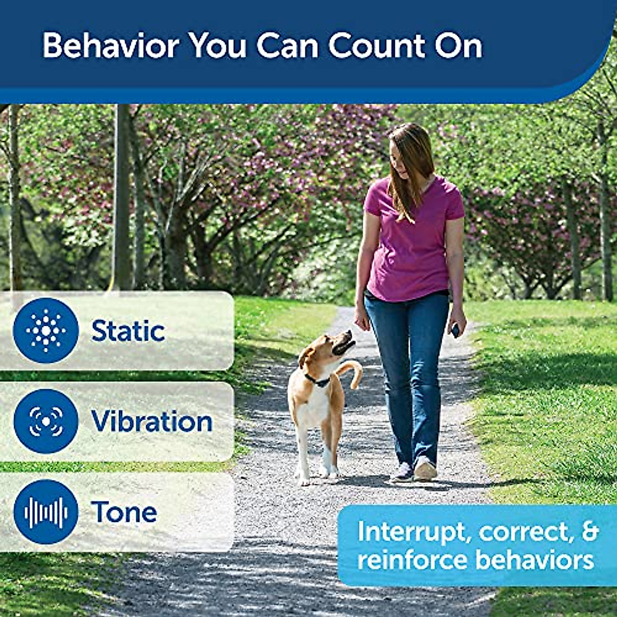 PetSafe 300 Yard Remote Training Collar – Choose from Tone, Vibration, or 15 Levels of Static Stimulation – Medium Range Option for Training Off Leash Dogs – Waterproof and Durable – Rechargeable