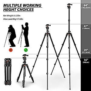 GEEKOTO 64" Camera Tripod, Compact Aluminum Tripod with 360 Degree Panorama Ball Head 1/4 inch Quick Release Plate, DSLR Tripod Suitable for SLR Cameras