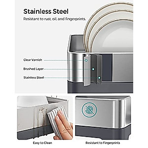 SONGMICS Dish Drying Rack, Stainless Steel Dish Racks for Kitchen Counter, Dish drainers with 360° Rotatable Spout, Removable Drainboard, Fingerprint-Proof, Silver and Gray UKCS030E01