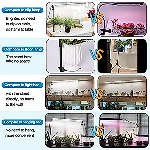 JCBritw Desktop LED Grow Light Bar T8 2ft Plant Growing Lamp on Stand for Indoor Plants White Full Spectrum Adjustable Tabletop Plant Light for Seed Starting, Seedlings, Veg, Flower