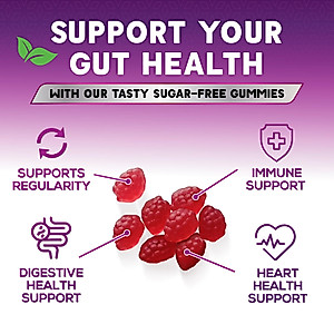 Sugar Free Fiber Gummies for Adults, Daily Prebiotic Fiber Supplement & Digestive Health Support - Supports Regularity & Digestive Health, Nature's Plant Based, Non-GMO, Berry Flavor - 120 Gummies