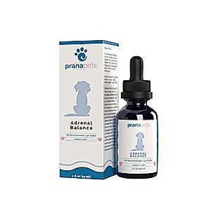 Adrenal Balance for Dogs with Cushing’s | Naturally Relieves Symptoms of Cushing's Disease in Dogs | Licorice Free Herbal Formula for Dogs with Cushing’s Disease | by Prana Pets