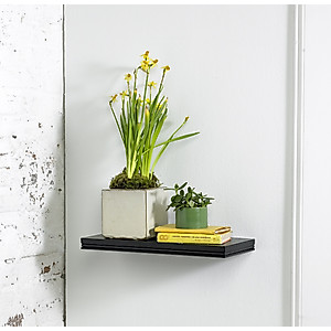 InPlace Shelving 0191409 Warwick Floating Wall Mountable Shelf with Invisible Bracket, Black, 18-Inch Wide by 8-Inch Deep by 1.25-Inch High