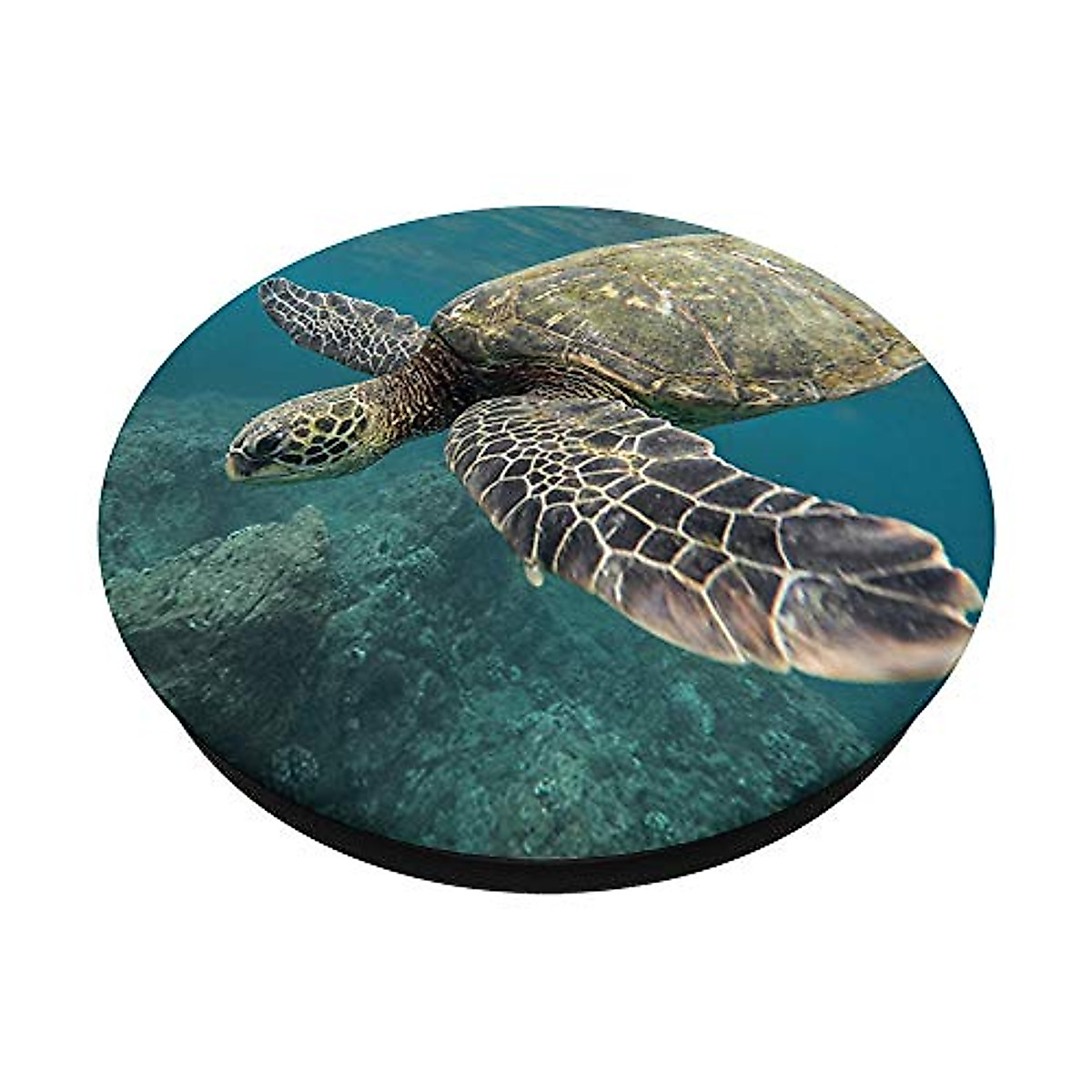 Pop out Cell Phones holder underwater Ocean Sea Turtles PopSockets Swappable PopGrip
