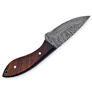 MMA 8inch Custom Handmade Damascus blade knife/Fixed blade knife with sheath/Fixed Blade Knives/Skinning Knives/Hunting Knives/EDC Knives (Brown)