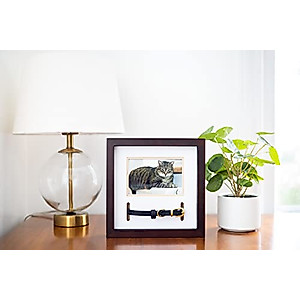 Pearhead Pet Collar Keepsake Frame, Pet Memorial Picture Frame, Pet Owner Home Decor, Cat Or Dog Keepsake, 3" x 4.5" Photo Insert, Wall Mount And Tabletop Frame, Espresso