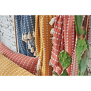 carol & frank Riley Sky Throw 50x60 inches Blue