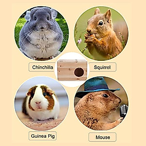 SALUTUYA Wood Nesting House, Squirrel Nesting Box Squirrel House Wear Resistant Mating Breeding Box Nesting for Chinchilla Squirrel Hamster