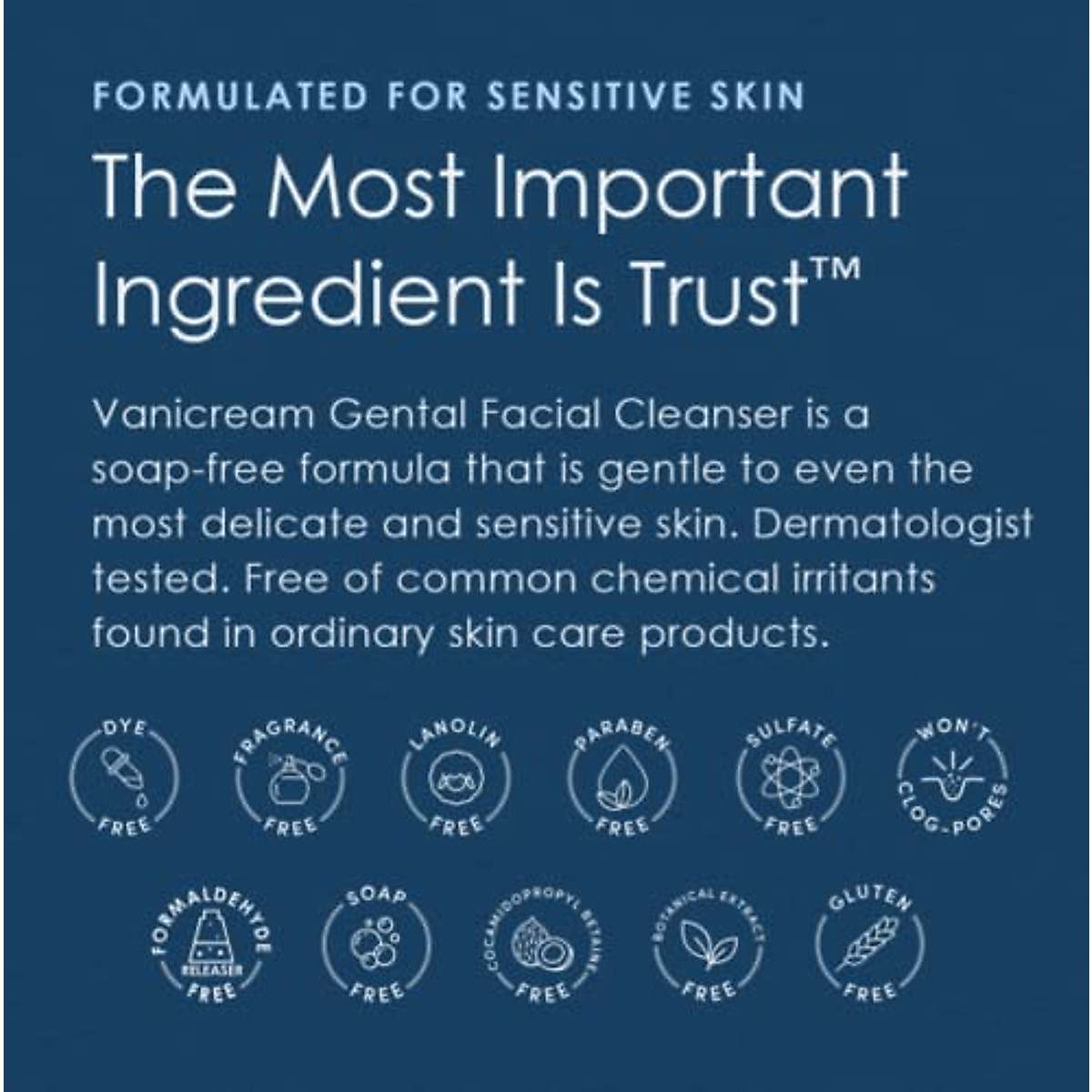 Vanicream Gentle Facial Cleanser with Pump Dispenser - 8 fl oz - Formulated Without Common Irritants for Those with Sensitive Skin