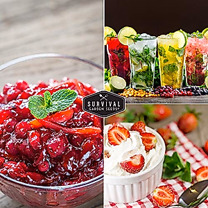 Survival Garden Seeds - Spearmint Seed for Planting - Mentha Spicata Packet with Instructions to Plant Delicious Herbs and Grow Your Home Herb Garden - Non-GMO Heirloom Variety