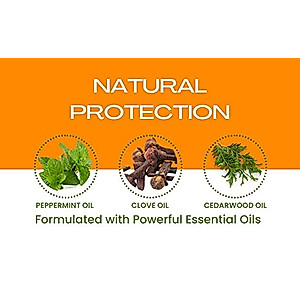 Flea and Tick Spray for Fleas, Ticks and Mosquitoes - Application for Dogs, Cats and Home (100 ml)