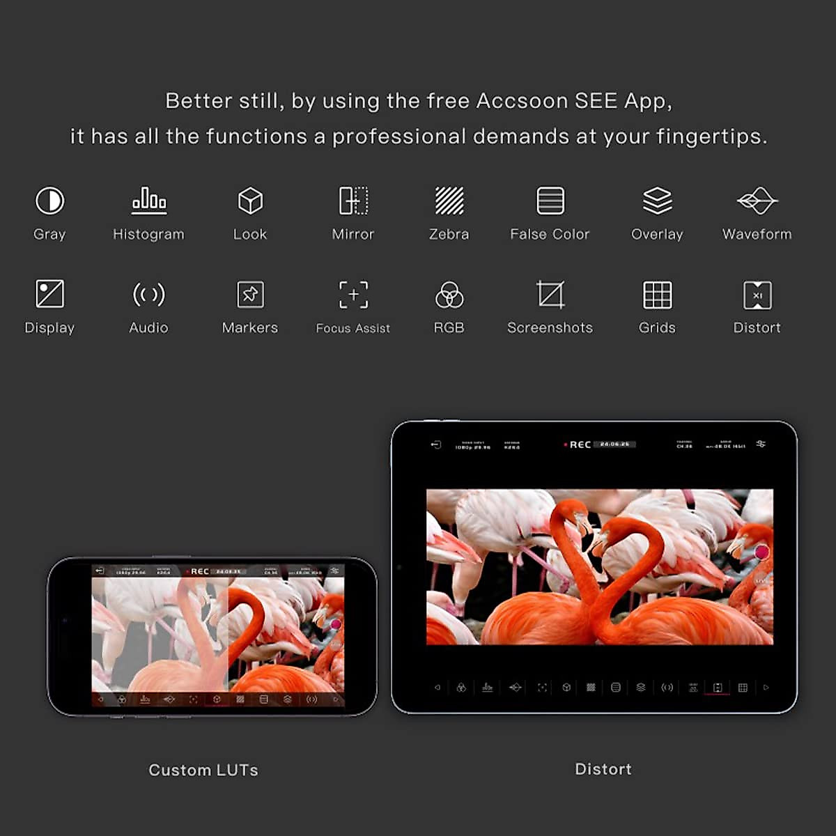 Accsoon SeeMo HDMI to USB Monitoring Adapter for iPhone/iPad, FHD 1920 * 1080 60fps Support H.264 Video Compression RTMP Live Streaming Support（Grey）