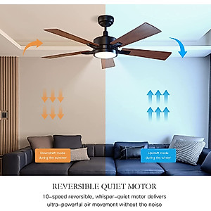 Smart Ceiling Fan 56'' 5-Blade with Remote Control, DC Motor with 10 Speed, Dimmable LED Light Kit Included, Apex Works with Google Assistant and Amazon Alexa, Siri Shortcut (Wood Reversible Blades)