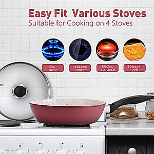 KOCH SYSTEME CS 10 Inch Nonstick Frying Pan, Pink Egg Pan with Lid, Nonstick Omelet Pan Skillet for all Stove Tops Include Induction Cooker, small wok with Heat Resistant Handle, APEO & PFOA-Free,Pink