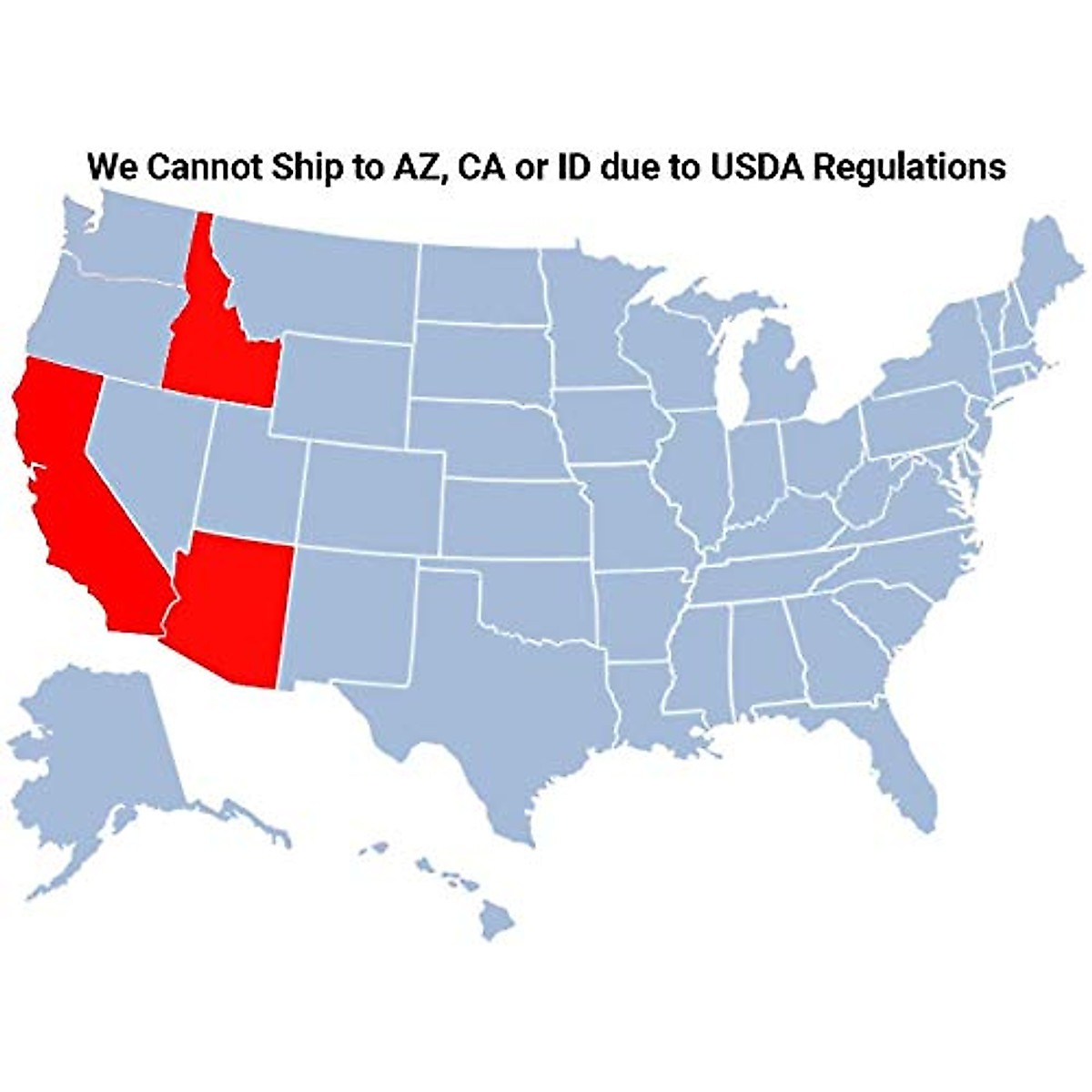 Brighter Blooms Barbados Cherry Tree, 3 Gallon