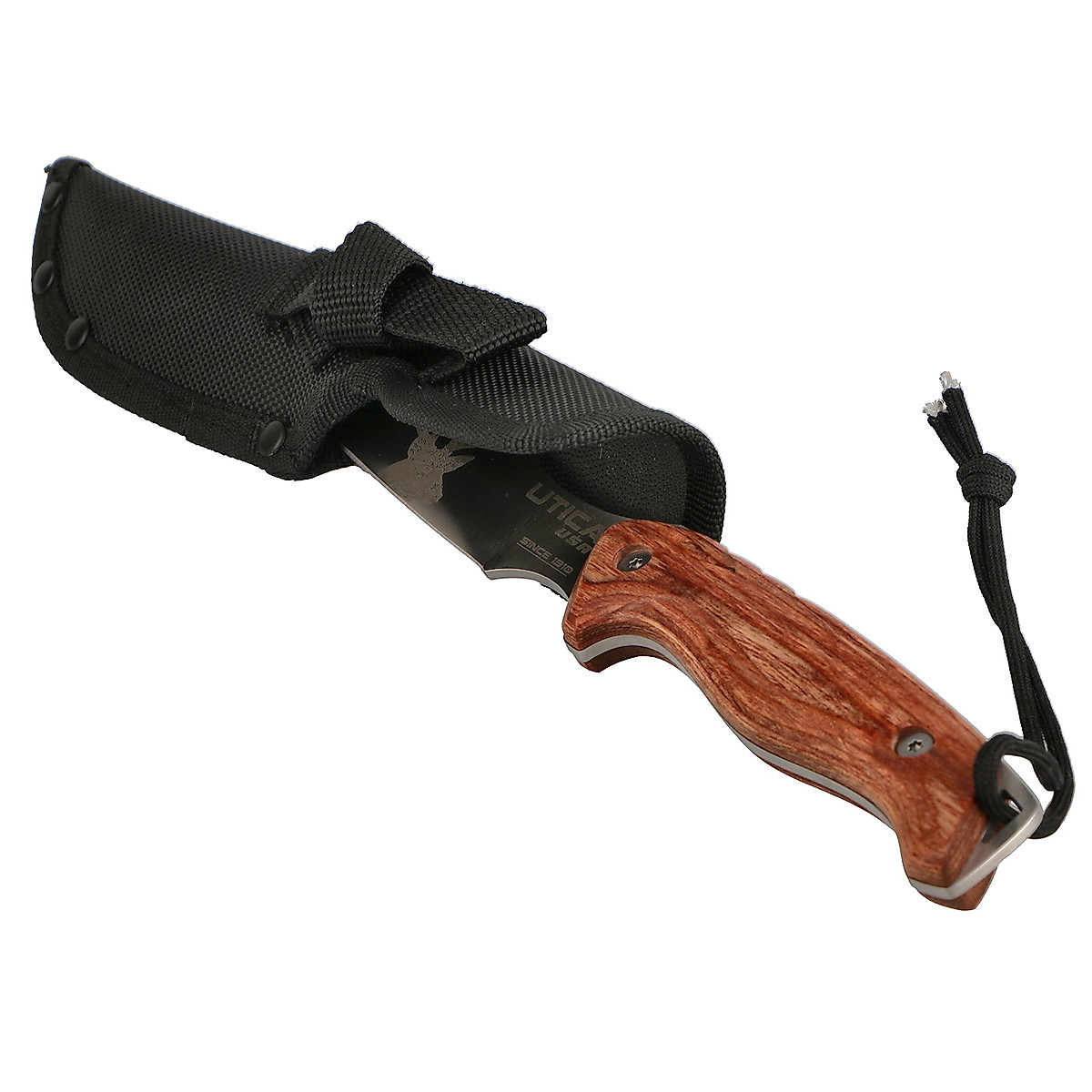 Utica Shoehorn Elk I