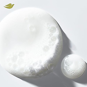 Dove Damage Therapy Derma Shampoo Soothing Moisture Pack of 6 for Flaky Scalp with Pyrithione Zinc and Almond Oil 12 Fl Oz